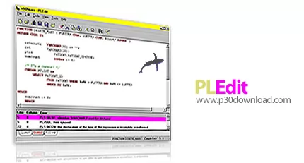 دانلود Benthic Software PLEdit 7.4.0.740 ویرایش و تدوین ماژول های PL و SQL